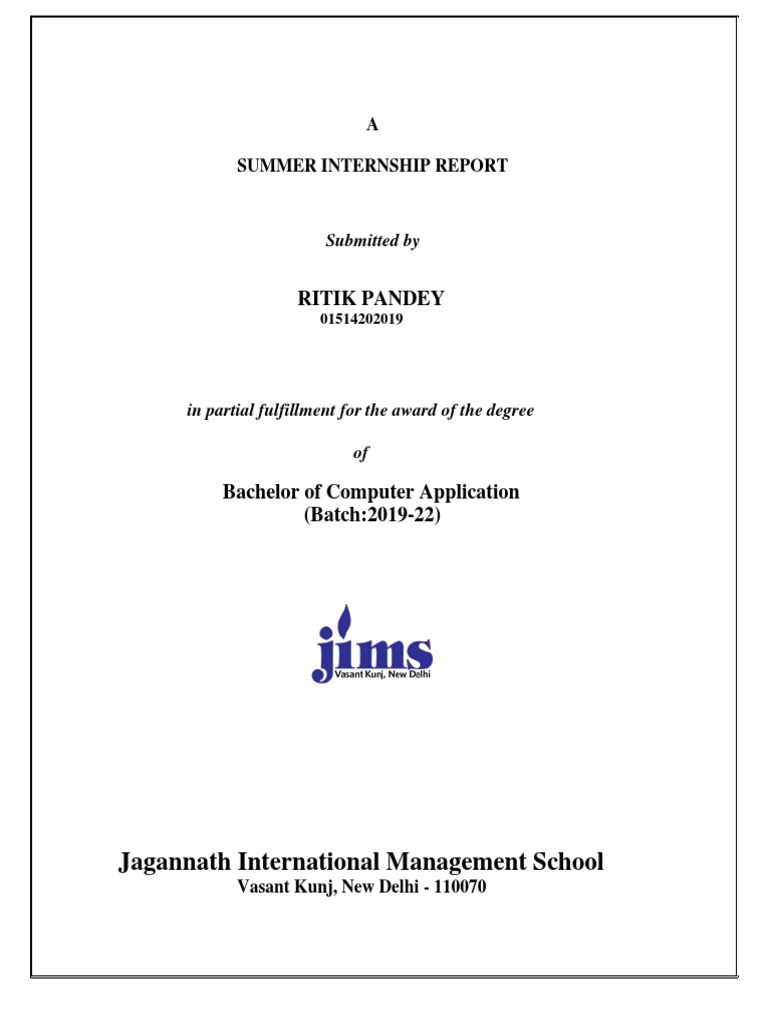 Summer Internship Report | PDF | World Wide Web | Internet & Web