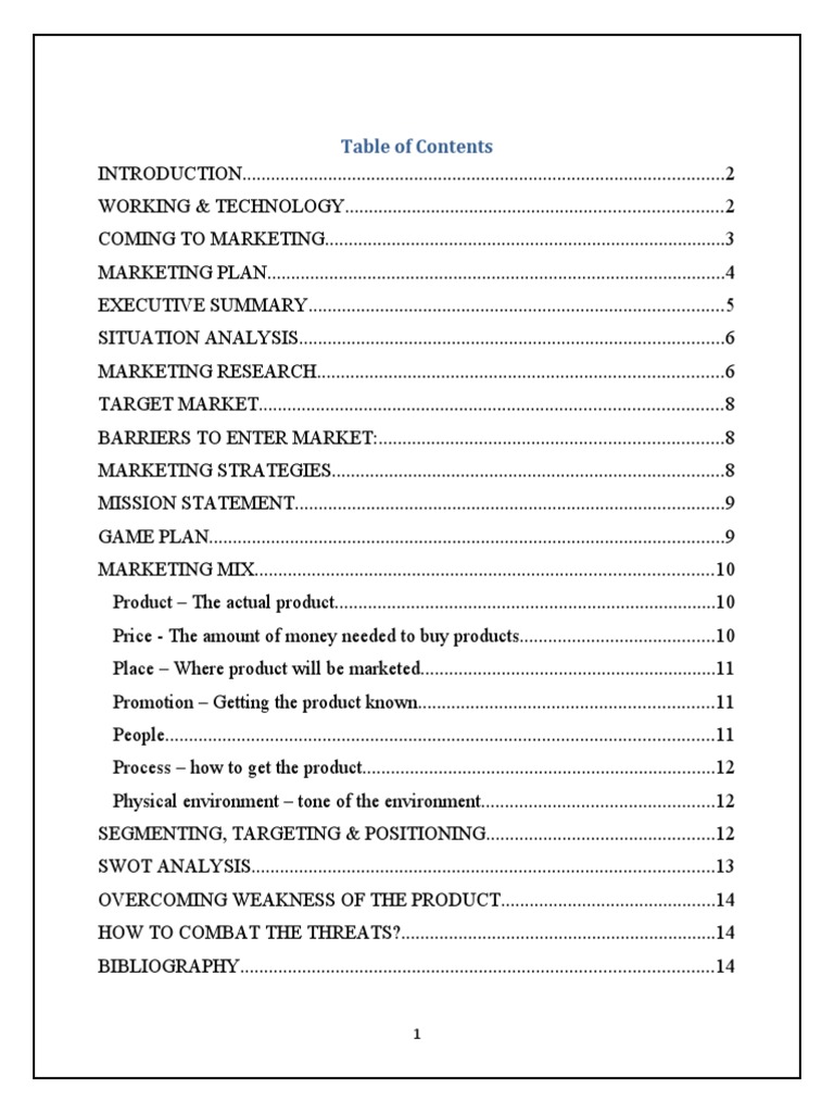 Marketing Plan For A Fictitious Product | PDF | Survey Methodology ...
