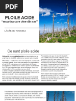 Ploaia Acida | PDF