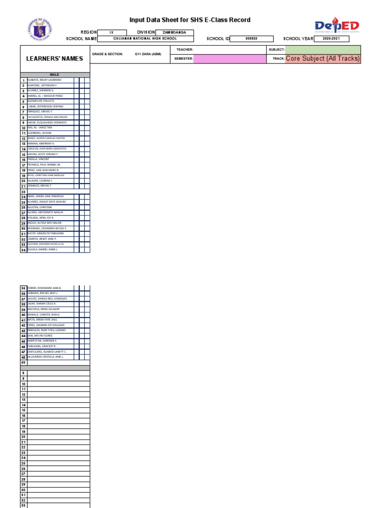 Input Data Sheet For SHS E-Class Record: Learners' Names | PDF