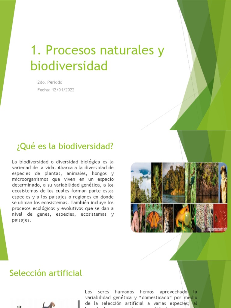 Procesos Naturales y Biodiversidad - Geografia 1 - 12 - 01 - 2022 | PDF ...