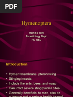 Schmidt Insect Sting Pain Index Chart | PDF