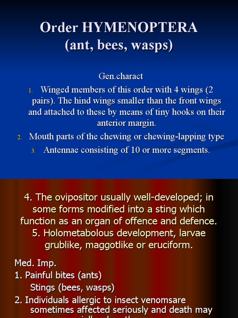 Order Hymenoptera (Ant, Bees, Wasps) | PDF | Lepidoptera | Beetle
