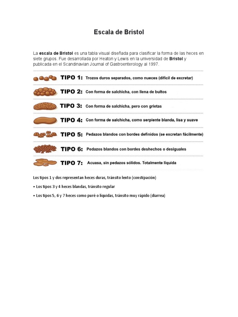 Escala de Bristol | PDF