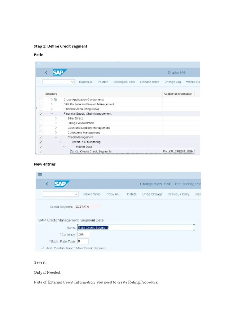 Step 1: Define Credit Segment Path | PDF | Computer Science ...
