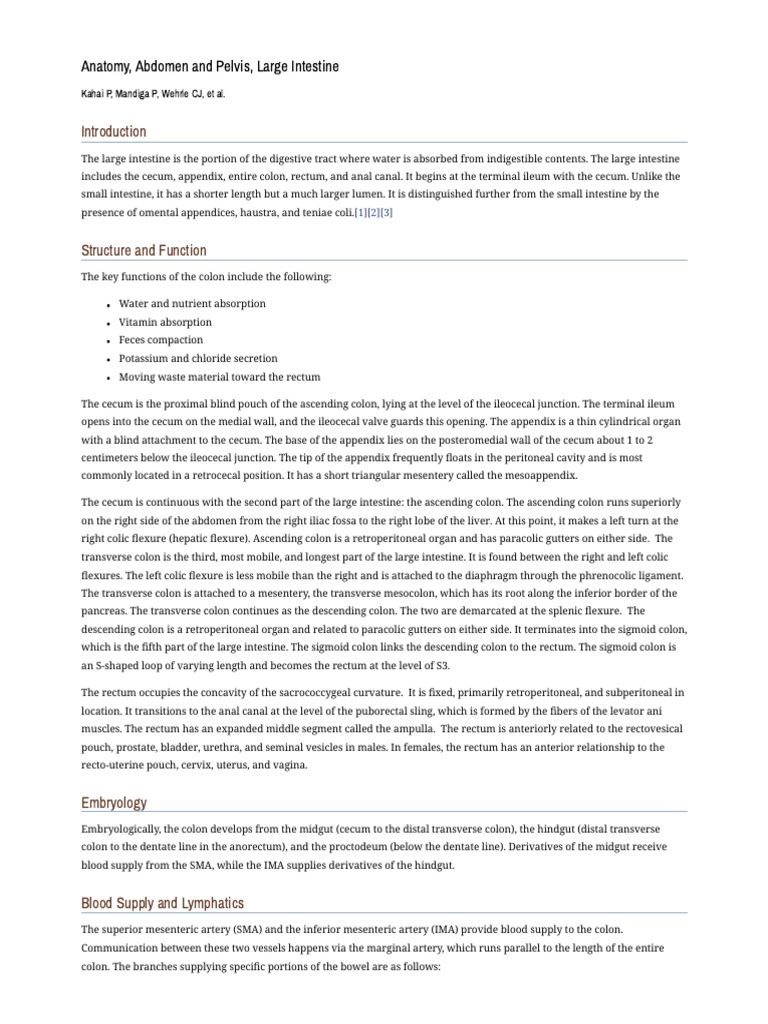 Anatomy, Abdomen and Pelvis, Large Intestine - StatPearls - NCBI ...