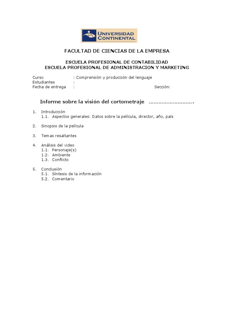 Formato de Informe de Video | PDF