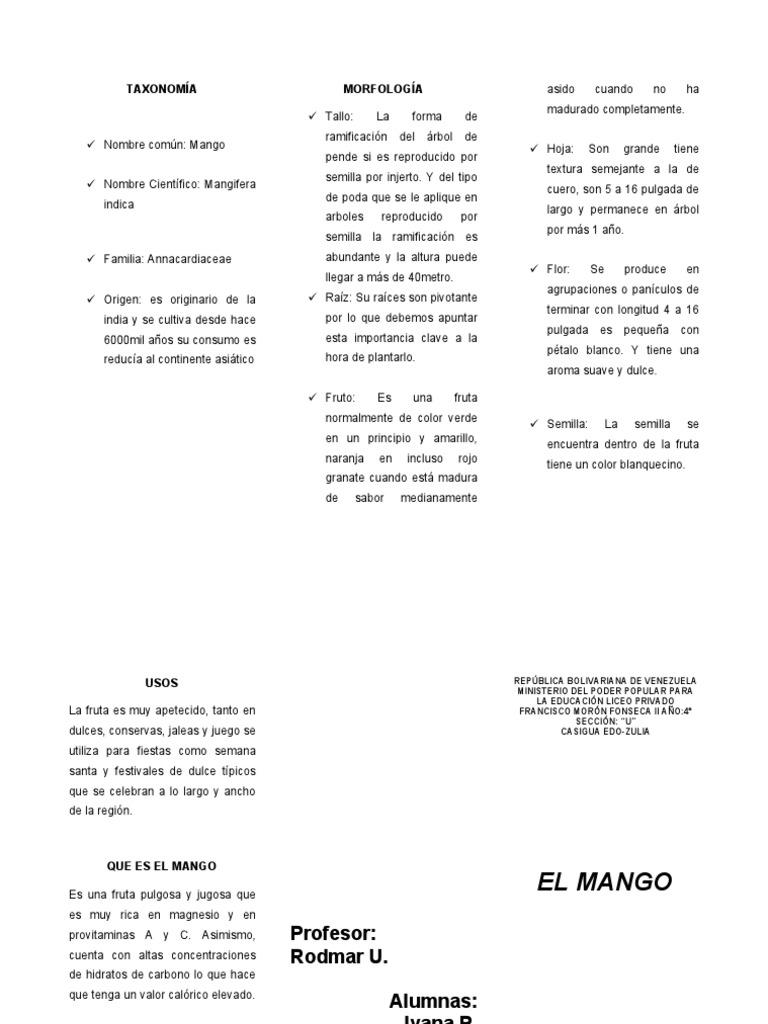 MANGO | PDF | Mango | Ingredientes de comida