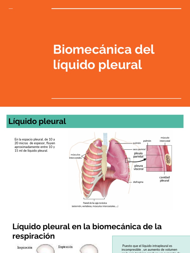Biomecánica del líquido pleural | PDF | Líquidos | Glaucoma