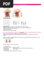 Manobras Abdominais Roteiro | PDF | Especialidades médicas | Medicina Clínica