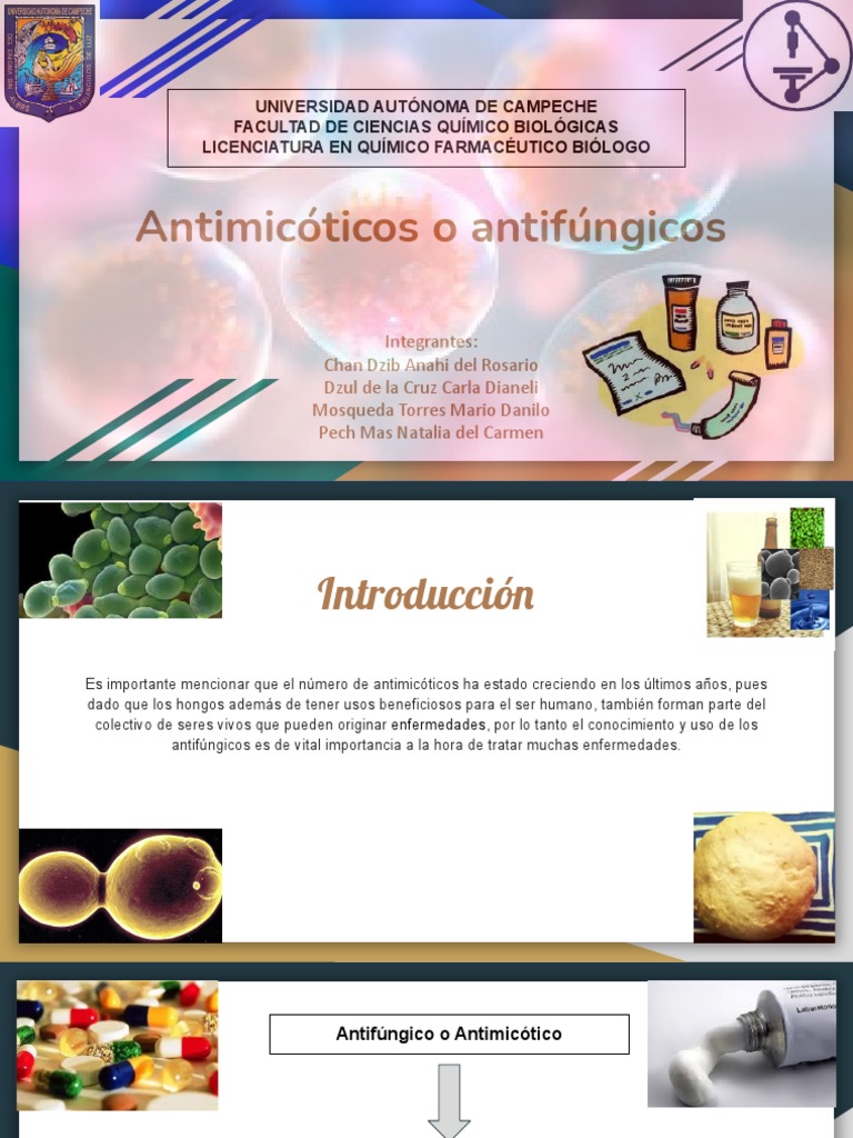 Antimicóticos o Antifúngicos | PDF | Hongo | Medicina