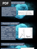 Posiciones de Cadáveres | PDF | Términos anatómicos de ubicación ...