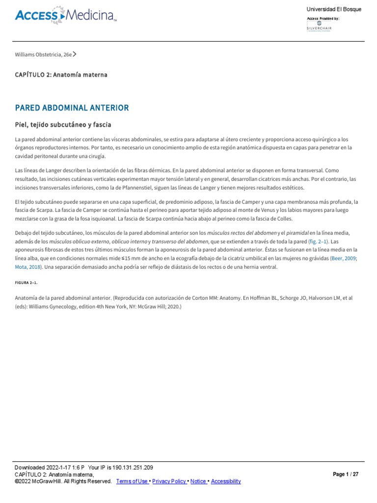 CAPÍTULO 2 - Anatomía Materna | PDF | Abdomen | Vagina