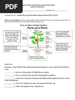 Worksheet Science Grade 4 (Part of Plants) | PDF | Plant Stem | Leaf