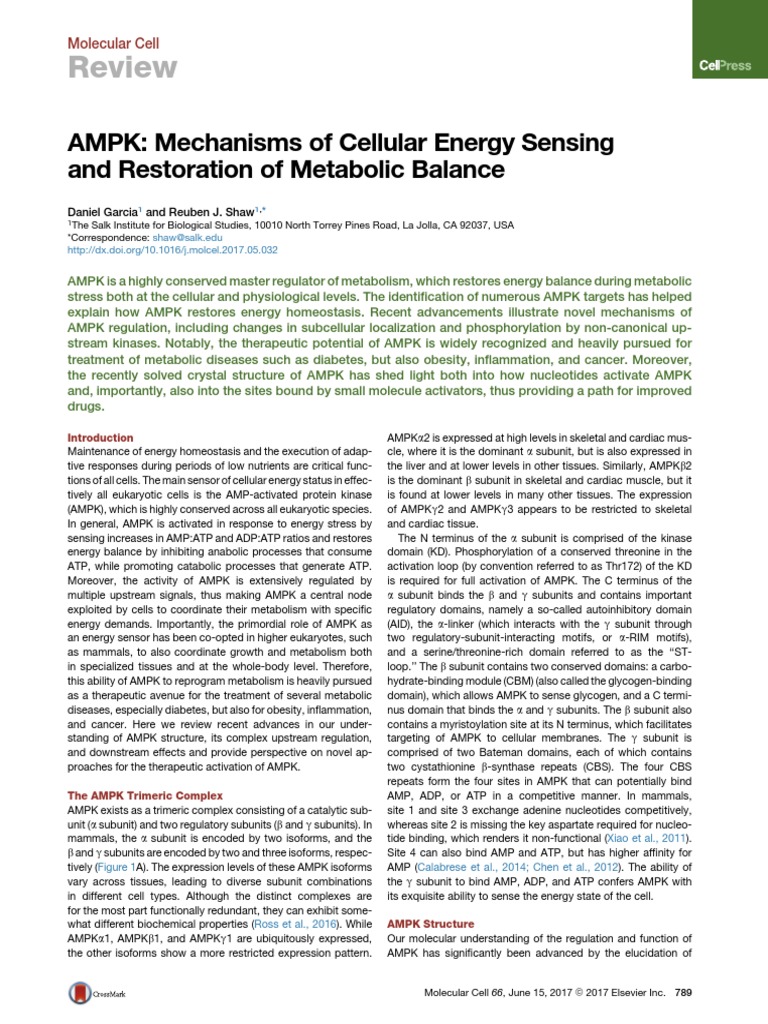 AMPK Mechanisms of Cellular Energy Sensing N Restoration of Metabolic Balance | PDF | Kinase ...