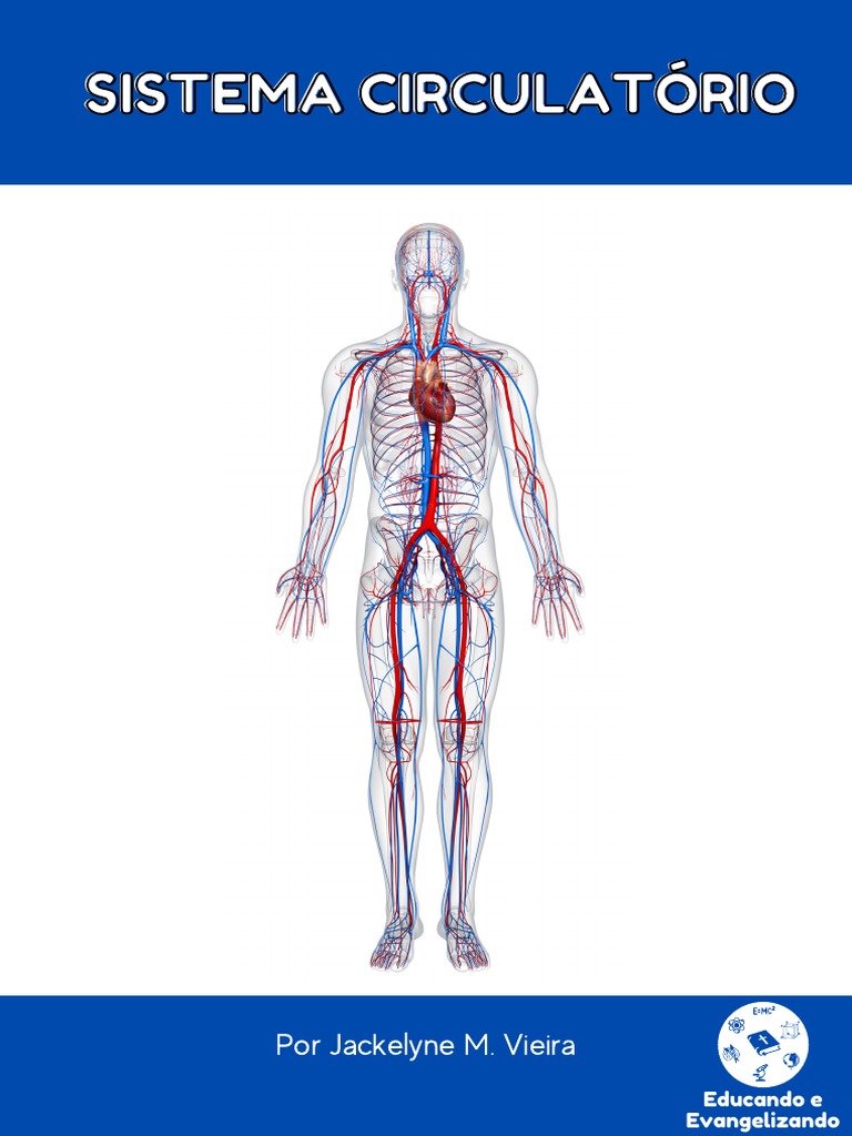 Sistema Circulatório | PDF | Ventrículo (coração) | Coração