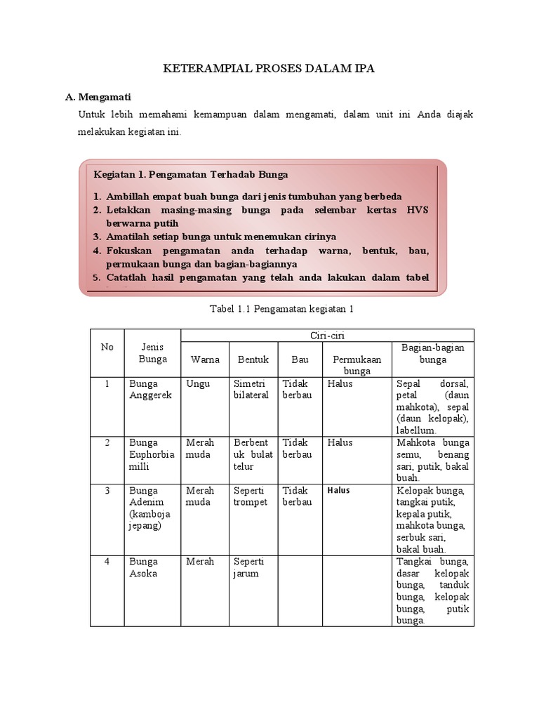 Keterampilan Proses Dalam Ipa | PDF