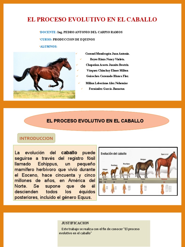 Evolución del Caballo: Un Resumen | PDF | Caballos | Équidos