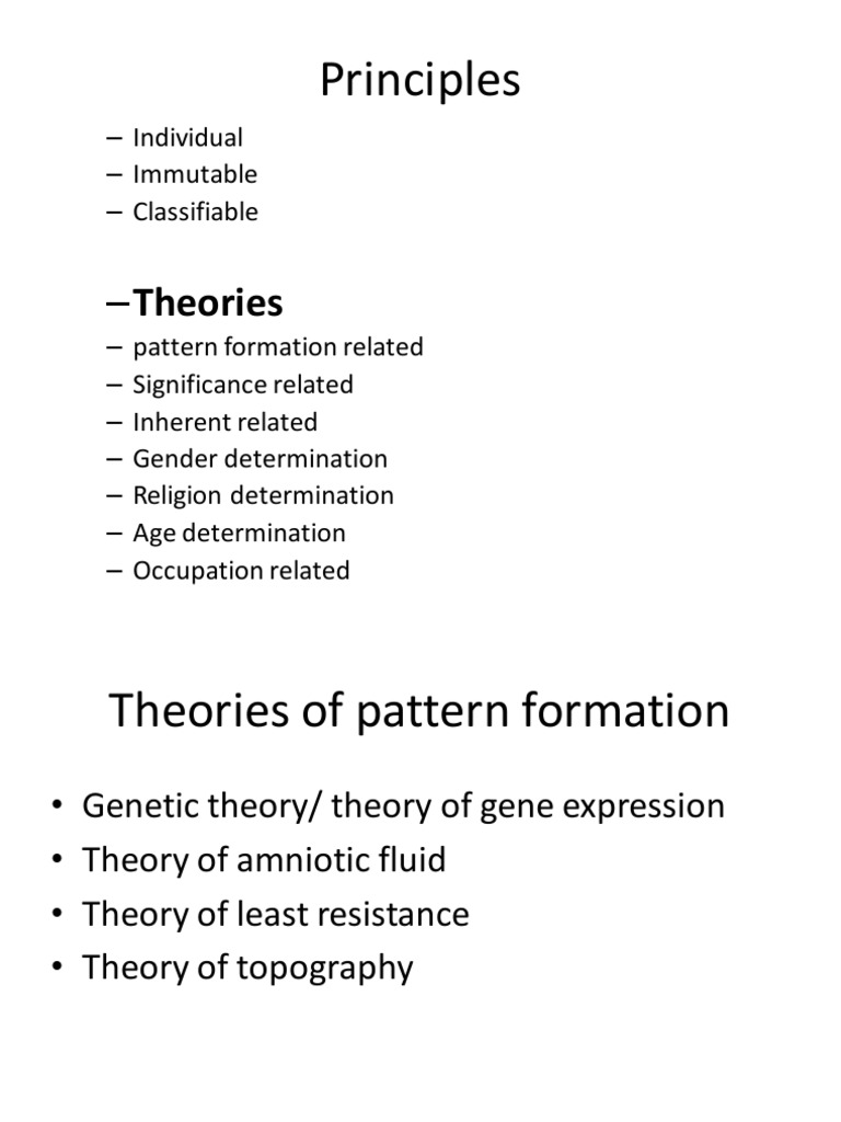 ANatomy and Morphology of Skin | PDF | Skin | Anatomy
