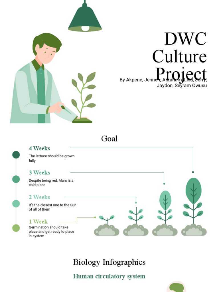 DWC Culture Project: by Akpene, Jenneh, Abraham, Lisa, Jerry, Jaydon ...