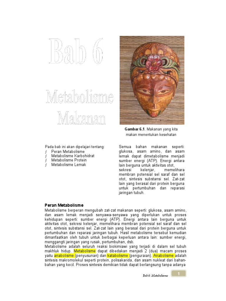 Bb6 Metabolisme | PDF