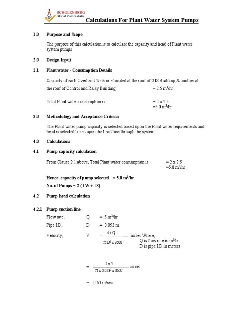Calculations For Plant Water System Pumps | PDF | Pump | Flow Measurement