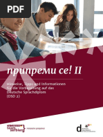 Modellsatz 6 DSD II Mit Lösungen | PDF