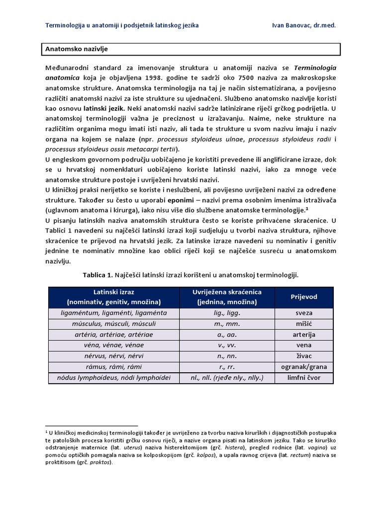 Terminologija U Anatomiji I Podsjetnik Latinskog Jezika | PDF