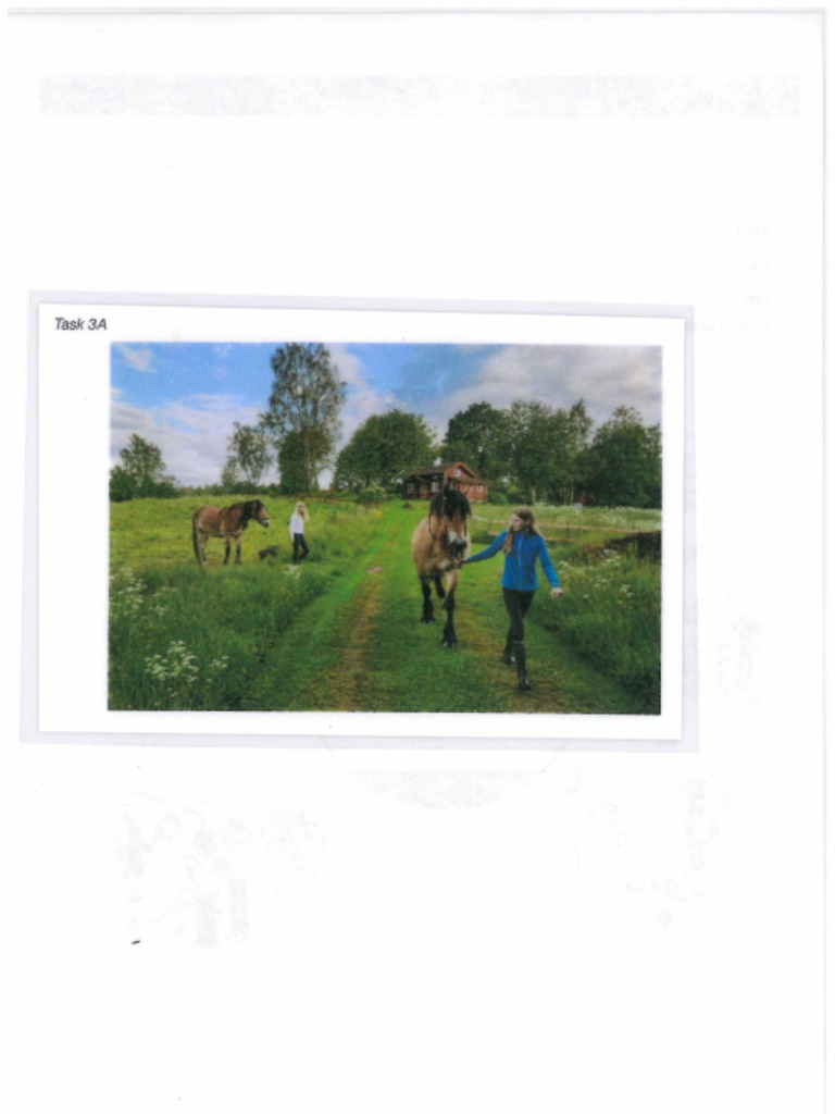 PET Speaking - Visual Material | PDF