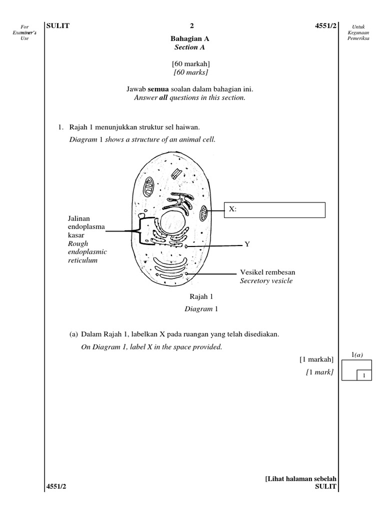 Kertas Trial Bio K2 Pahang (Kuantan) 2021 | PDF