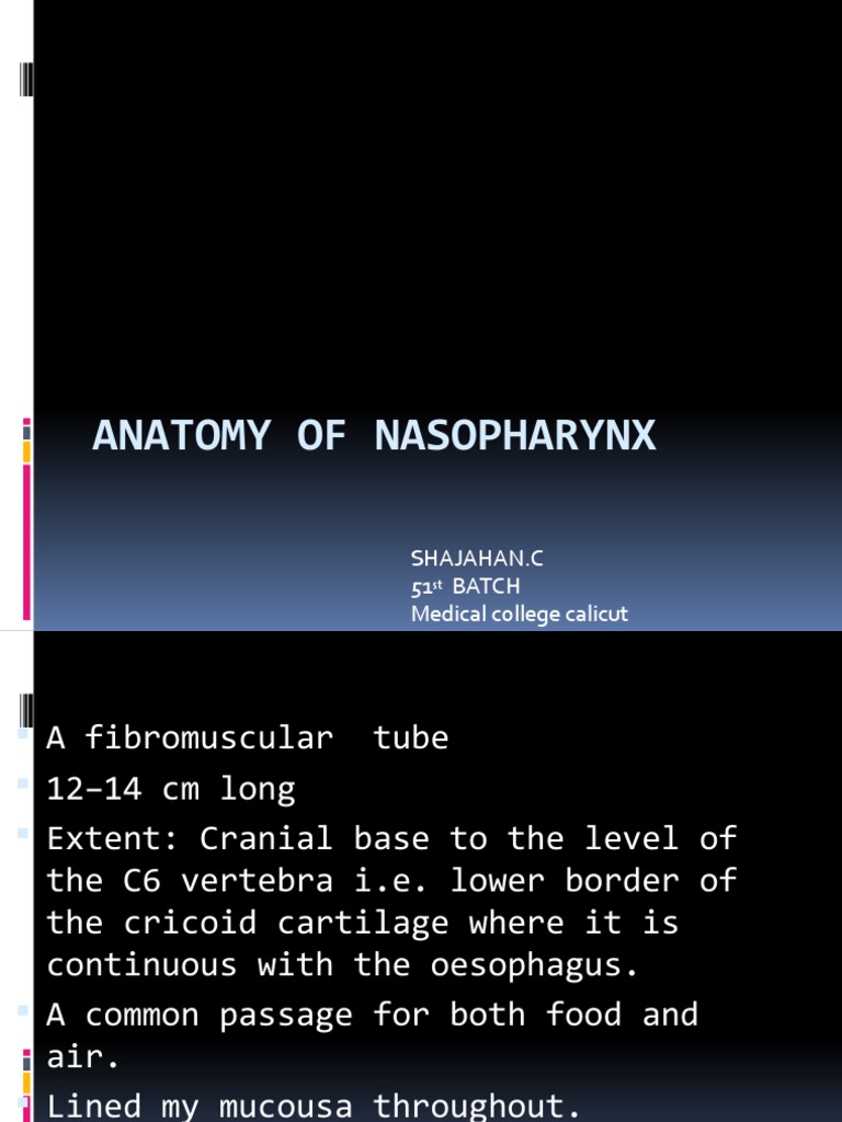 Anatomy of the Nasopharynx Explained | PDF | Human Nose | Respiratory ...