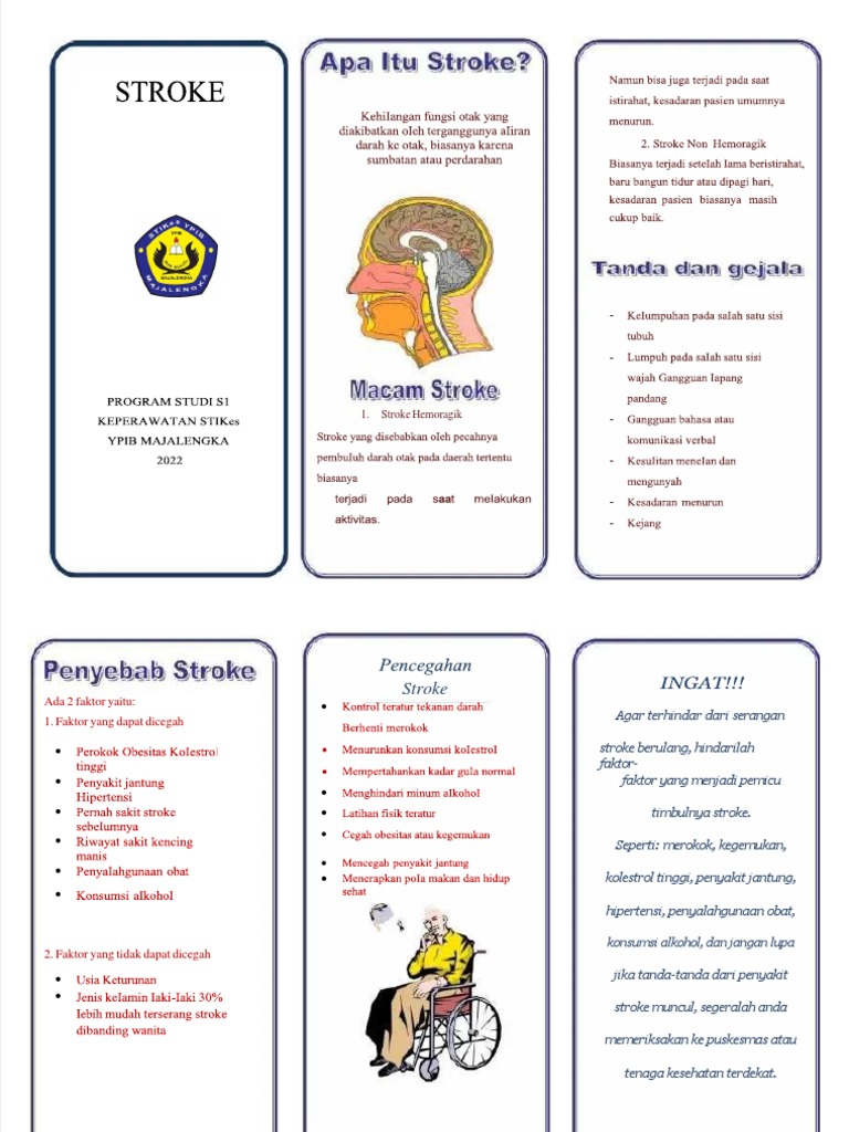 Yeyen Leaflet Stroke Infark | PDF