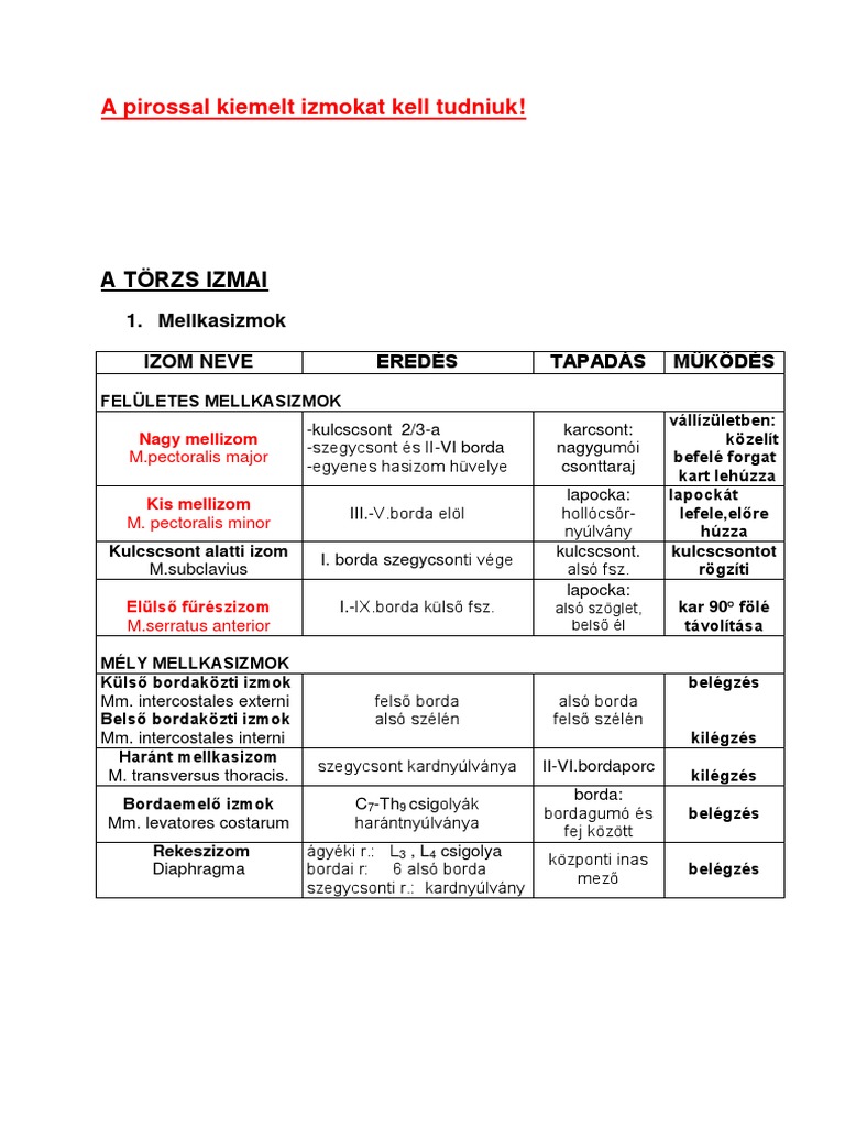 OktatÃ¡Si Sa Lev Edz Izom Magyar | PDF