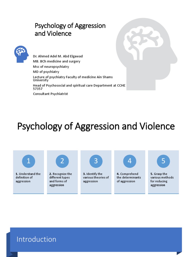 Aggression: Understanding & Management | PDF | Aggression | Anger