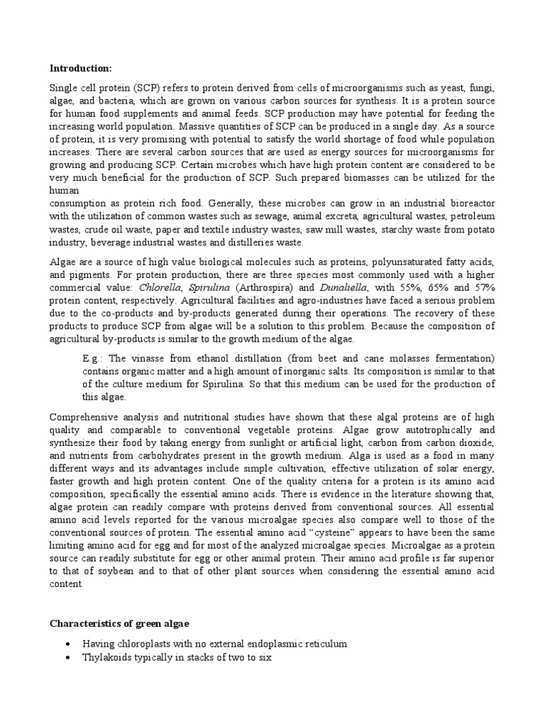 Single Cell Protein Production From Green Algae | PDF | Algae | Plants