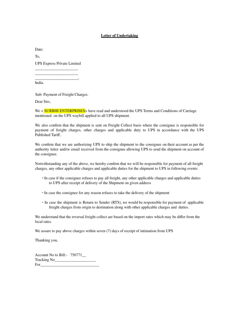 Undertaking Letter | PDF