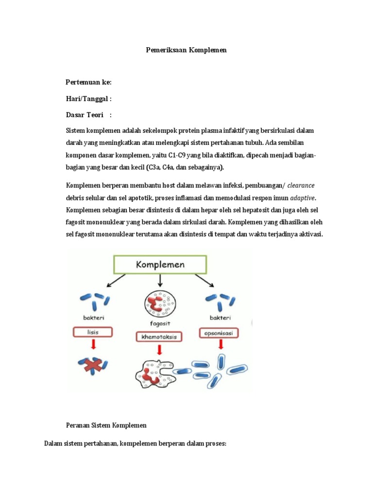 Modul Pemeriksaan Komplemen | PDF