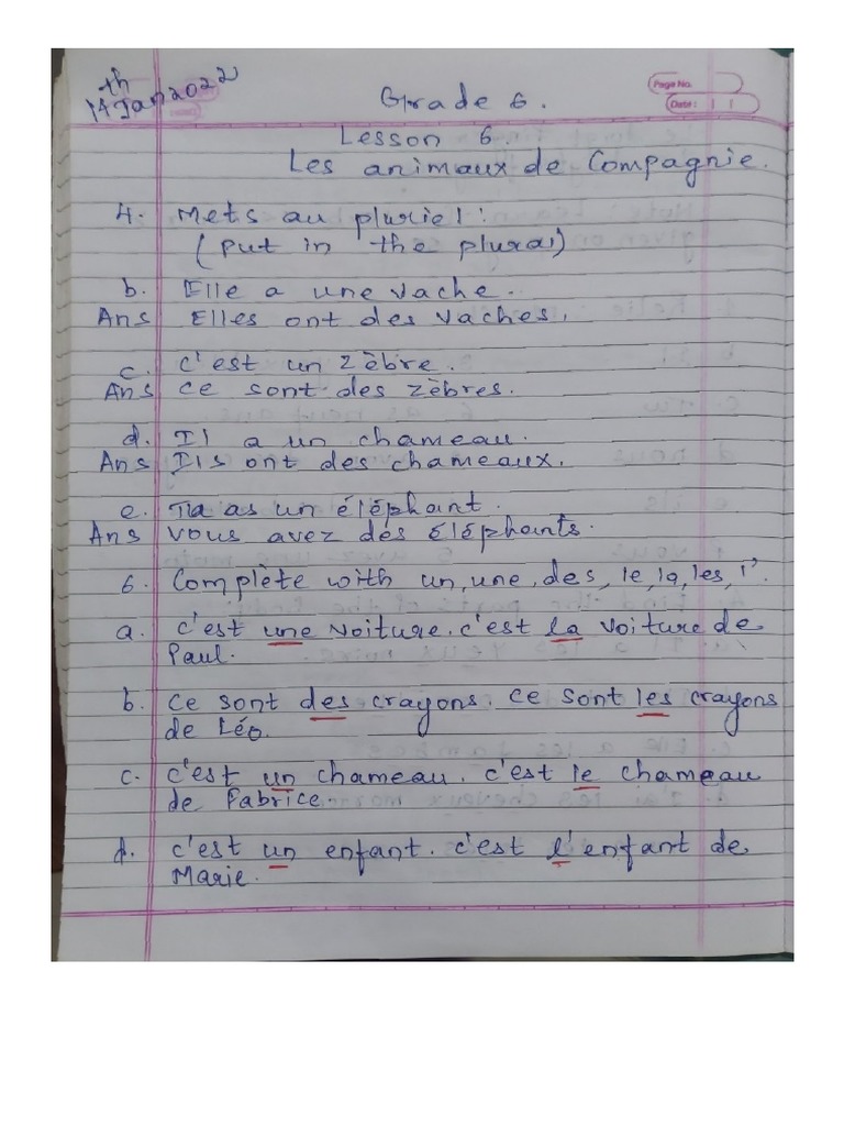 French Grade 6 Lesson 6 Grammar Exercises and Lesson 7 Note | PDF