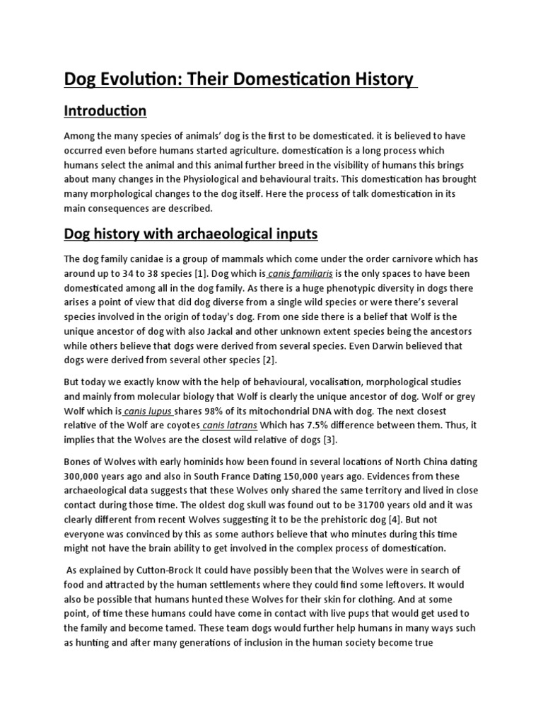 Dog Domestication and Evolution Timeline | PDF | Herding Dogs | Dogs