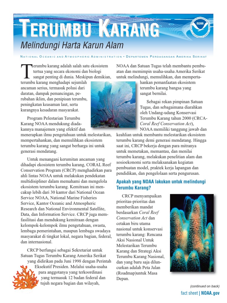 Jurnal Terumbu Karang | PDF Jurnal Terumbu Karang | PDF