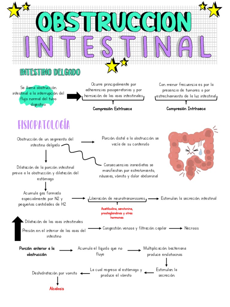 Obstruccion Intestinal | PDF | Abdomen | Intestino delgado