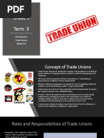 Gr9 Technology Term 3 Notes | PDF | Diode | Series And Parallel Circuits