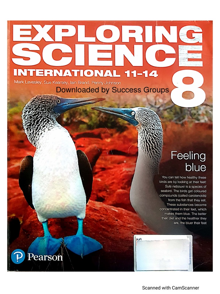 Pearson Grade-8 | PDF | Business