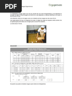 Metodo Rula Excel | PDF | Sistema musculoesquelético | Anatomía humana