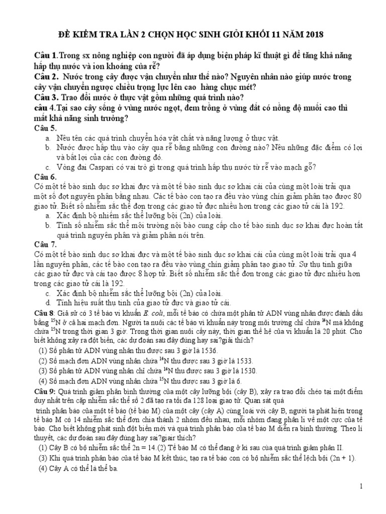 6711.Đề thi hsg 11 | PDF