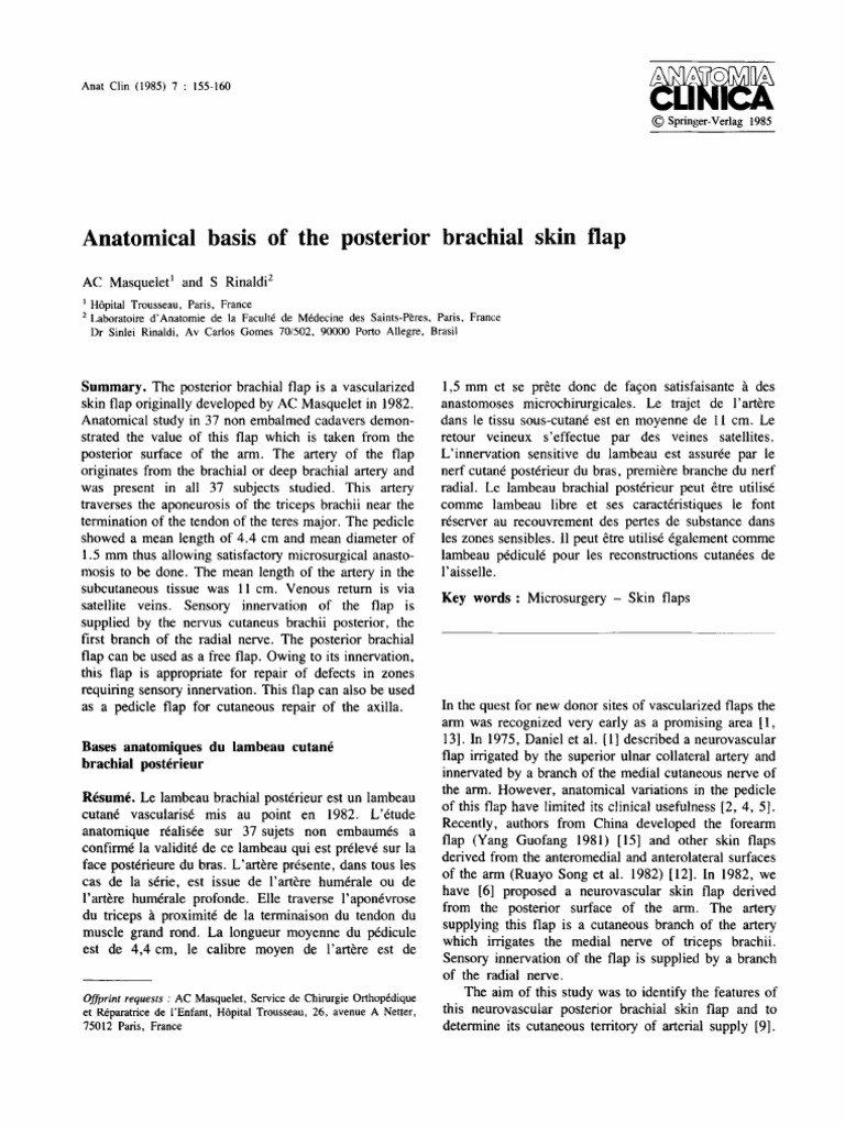 Anatomical Basis of The Posterior Brachial Skin Flap: Summary | PDF ...