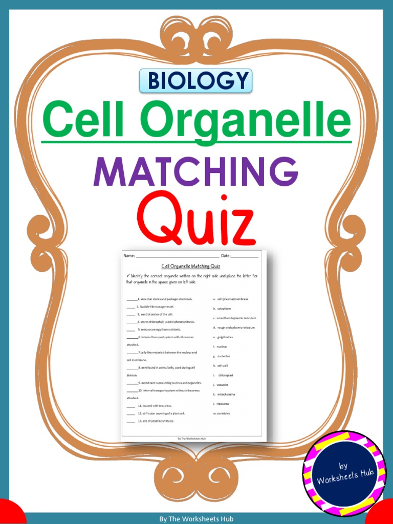 Cell Organelle: Matching | PDF | Cell (Biology) | Organelle