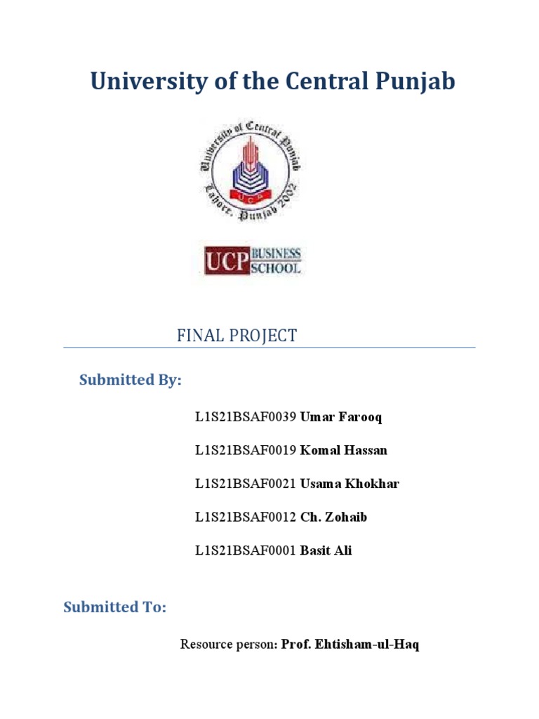 Information System Final Project Pdf Alibaba Group E Commerce