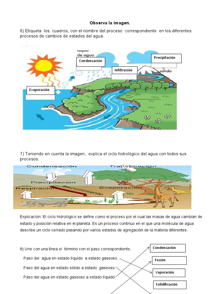 Etiqueta La Hoja De Trabajo Del Diagrama Del Ciclo Del Agua El Ciclo