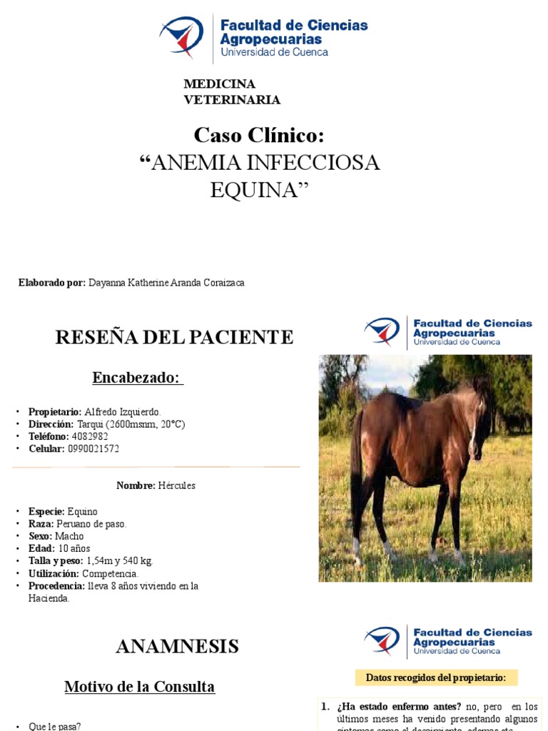 Anemia Infecciosa Equina: Caso Clínico | PDF | Anemia | Especialidades ...